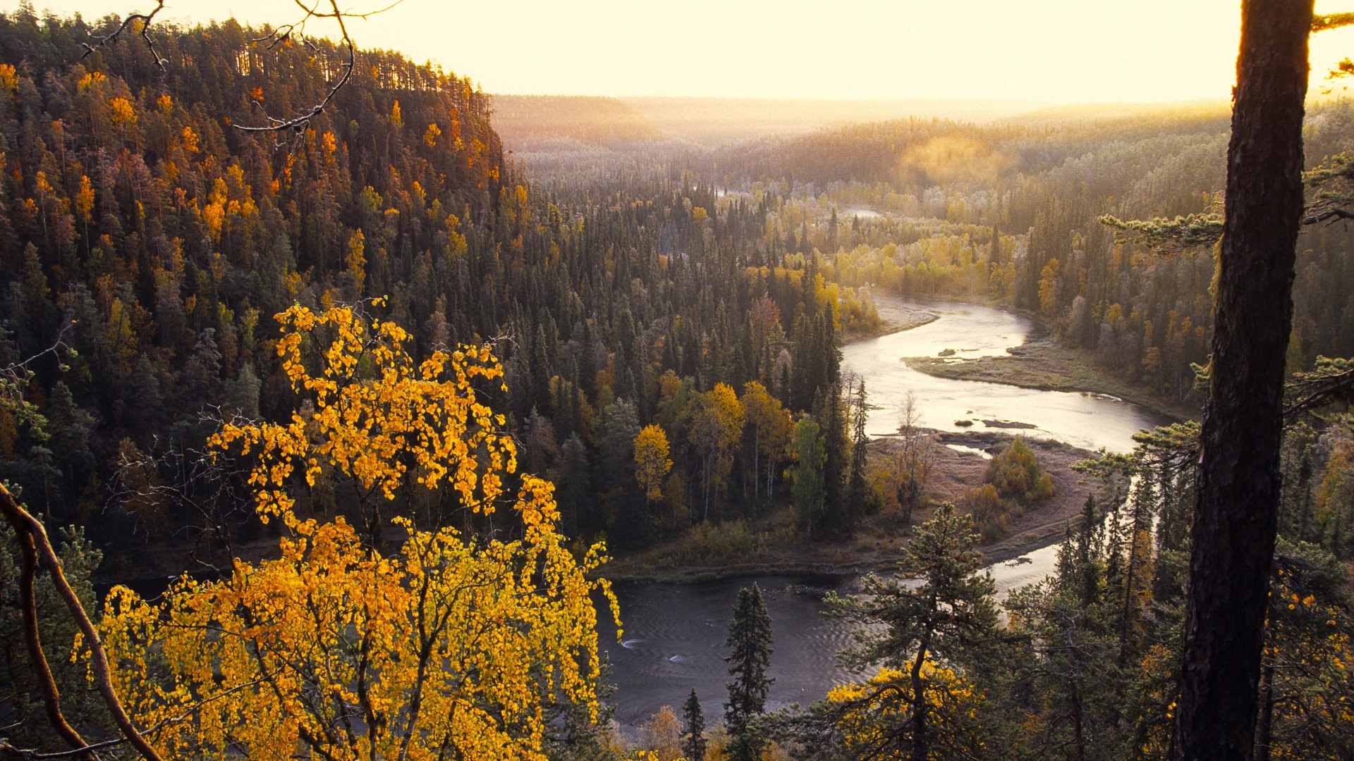 Ruka Kuusamo – Ein Paradies für Naturfotografen