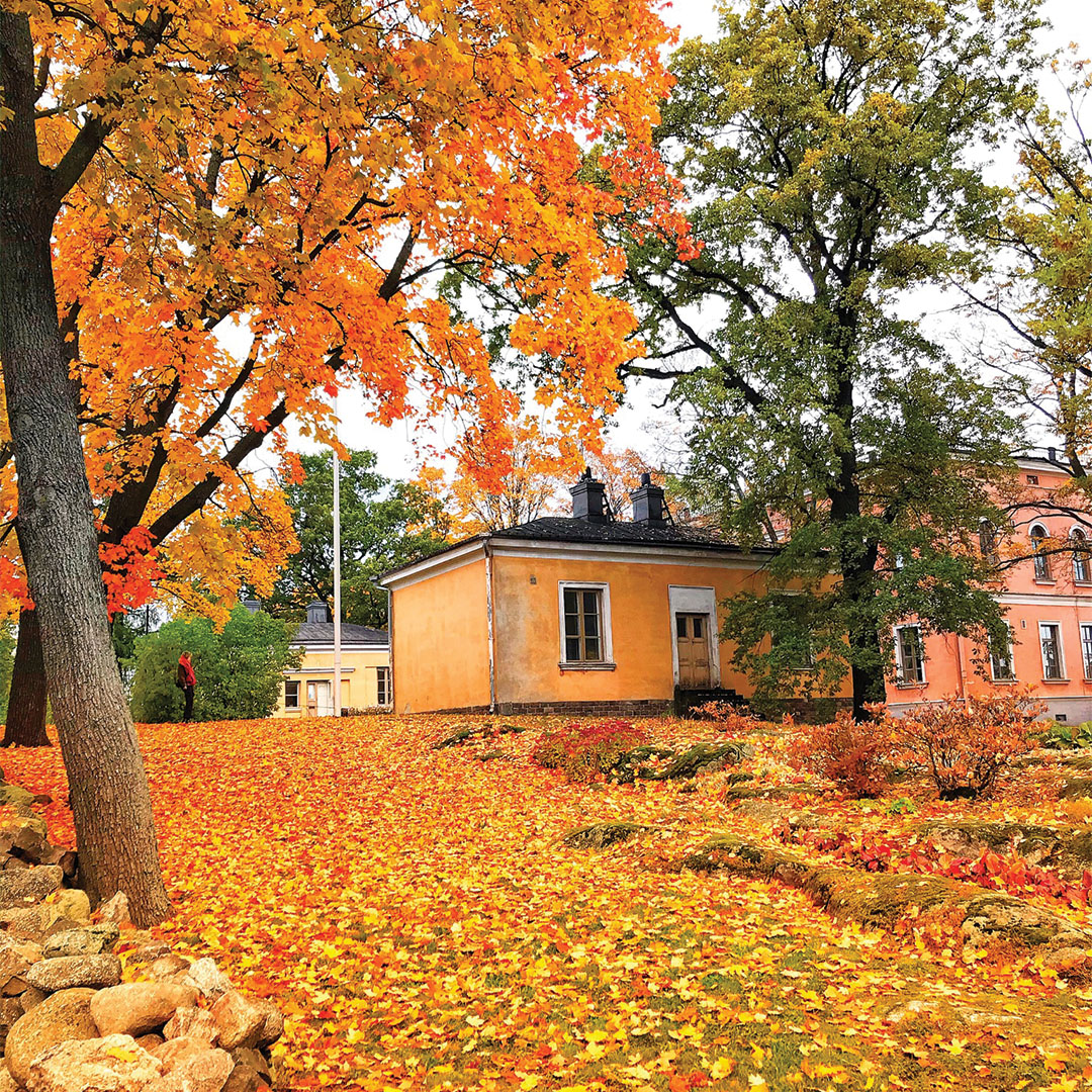 Travemünde–Helsinki - Finnlines