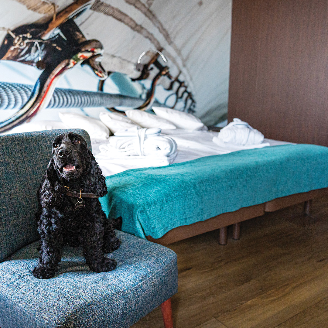 Cabins - Finnlady, Finnmaid & Finnstar - Finnlines