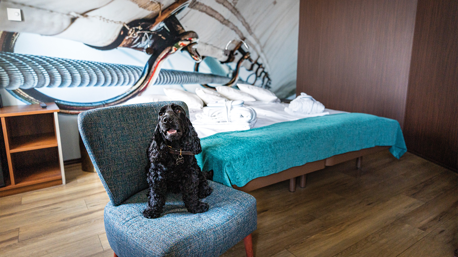 Finnstar Archives - Finnlines