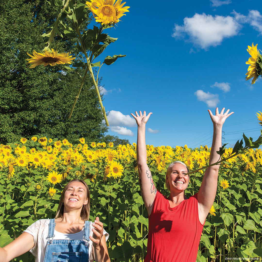 Kapellskär–Långnäs–Naantali - Finnlines