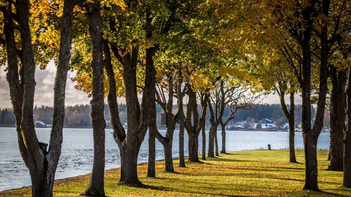 Kapellskär–Långnäs–Naantali - Finnlines