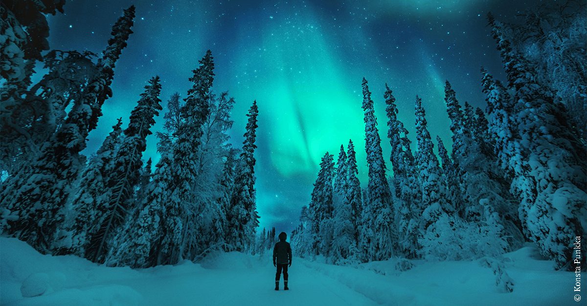 Polarlichter in Finnland: Beste Reisezeit, Tipps und Vorhersage
