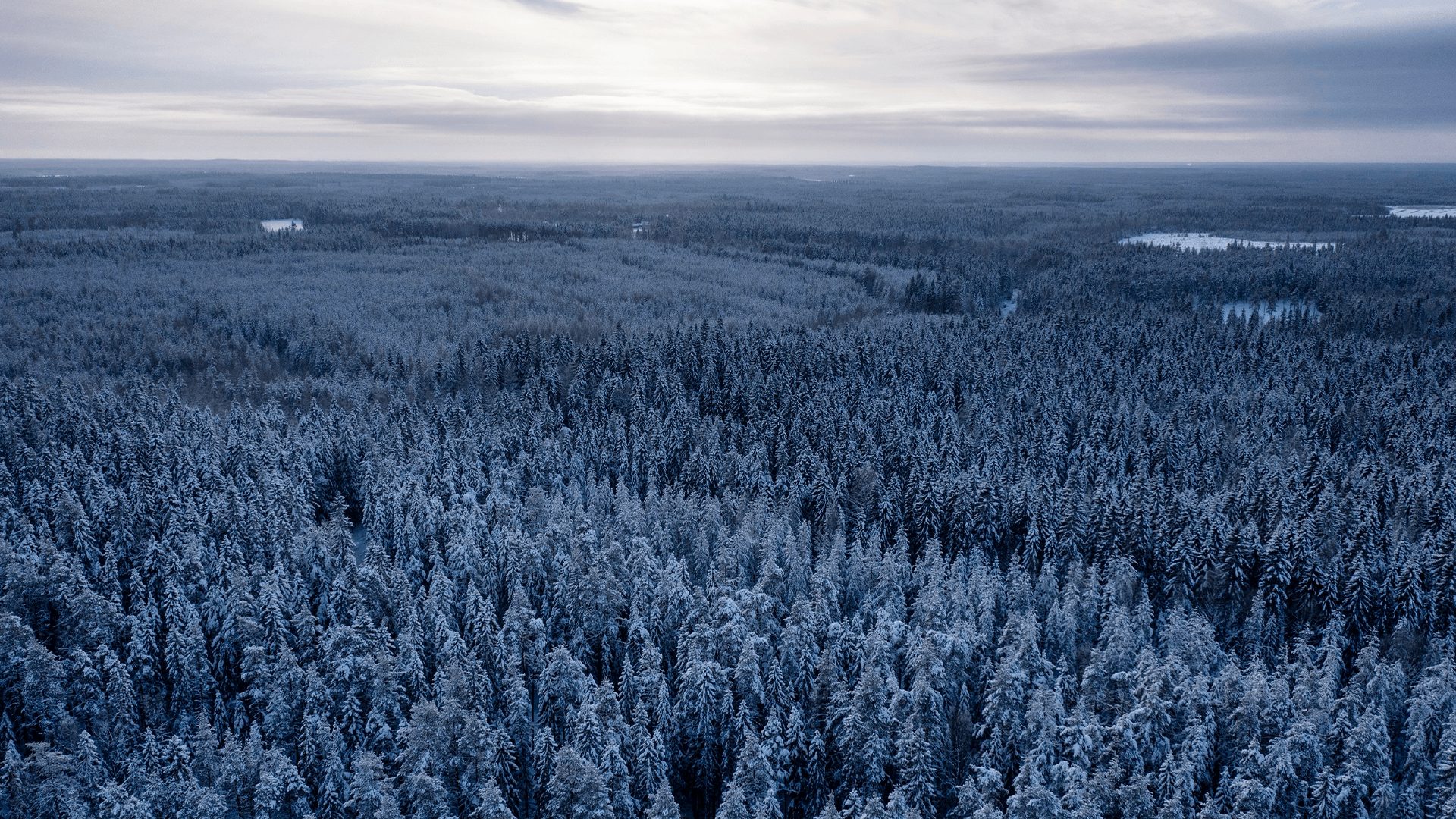 Finnland im Winter - Finnlines