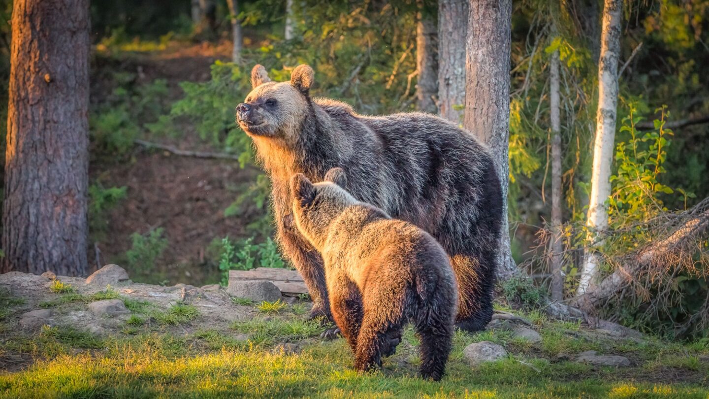 Tampere in Finnland – Reisetipps und Sehenswürdigkeiten