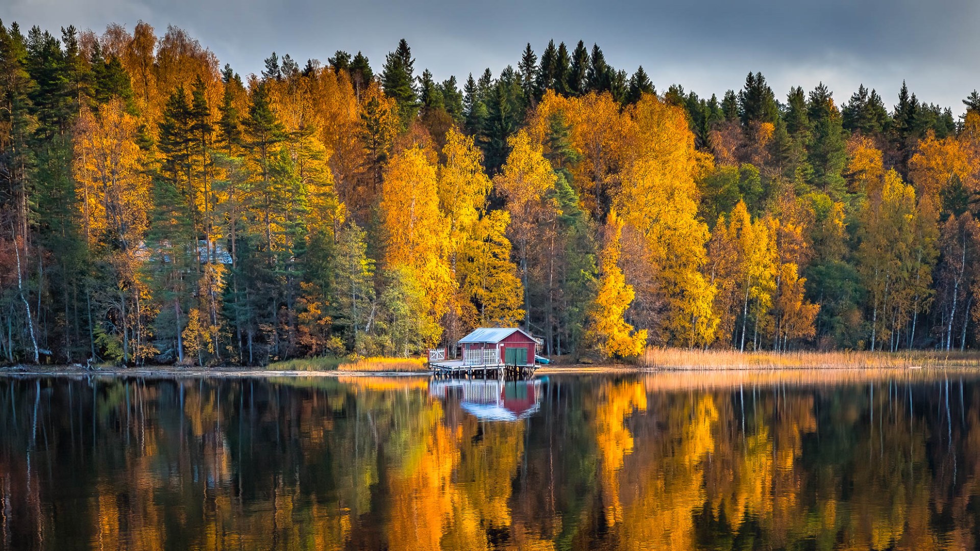 Polarlichter in Finnland: Beste Reisezeit, Tipps und Vorhersage